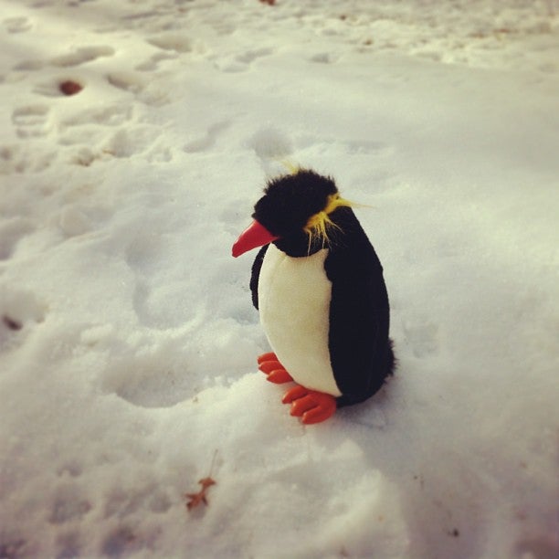 Springfield, NE Map & Directions - MapQuest