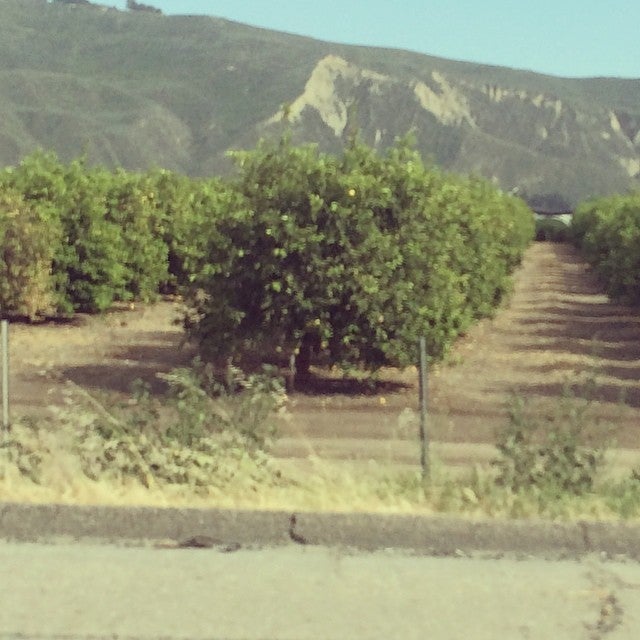 Somis, CA Map & Directions - MapQuest