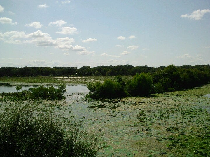 40 Acre Lake Observation Tower, Park Rd, Needville, TX, Landmark - MapQuest