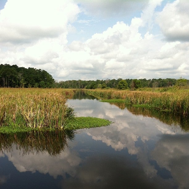 Ravenel, SC Map & Directions - MapQuest