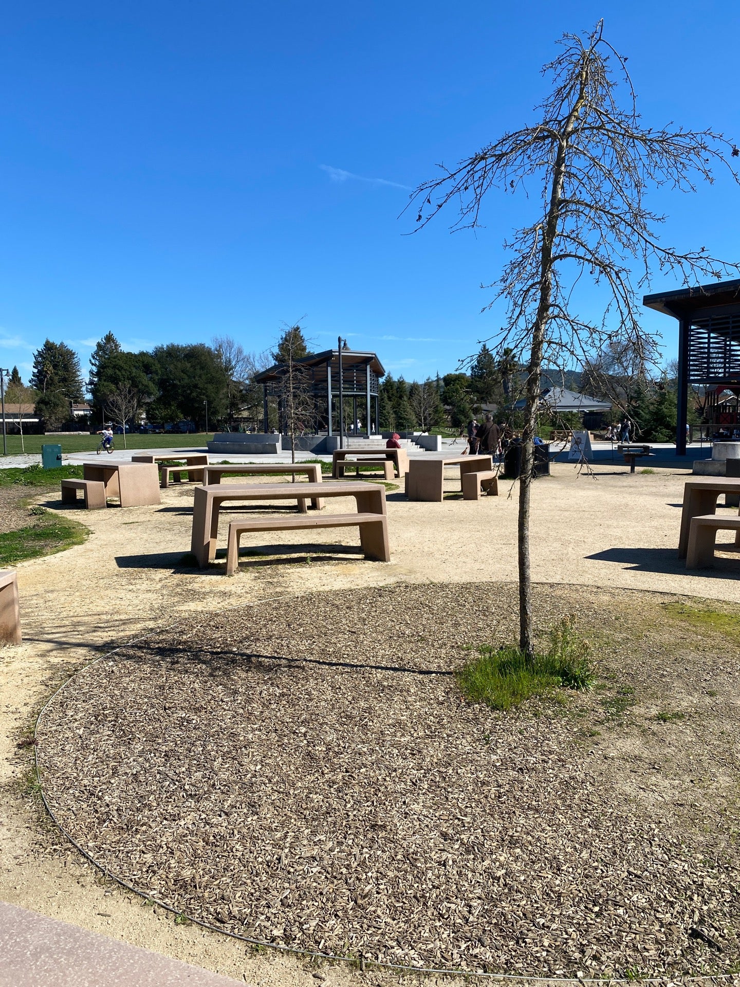 Bayer Neighborhood Park & Gardens, 1550 West Ave, Santa Rosa, CA - MapQuest