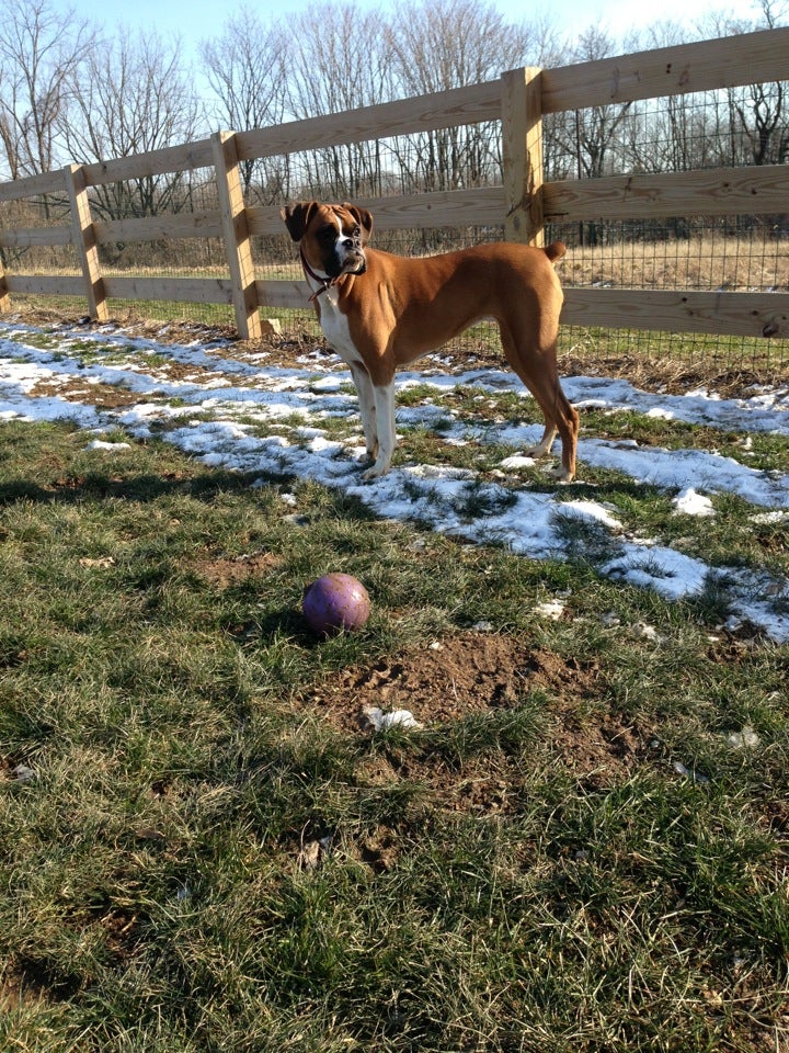 Avondale, PA Map & Directions - MapQuest