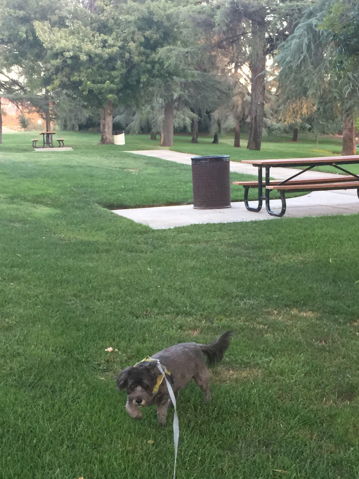 Calimesa, CA Map & Directions - MapQuest