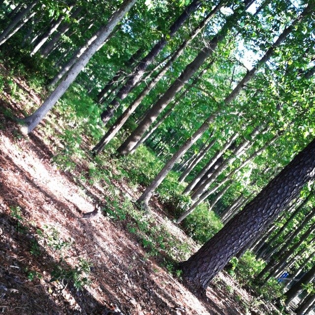 Williamstown, NJ Map & Directions - MapQuest