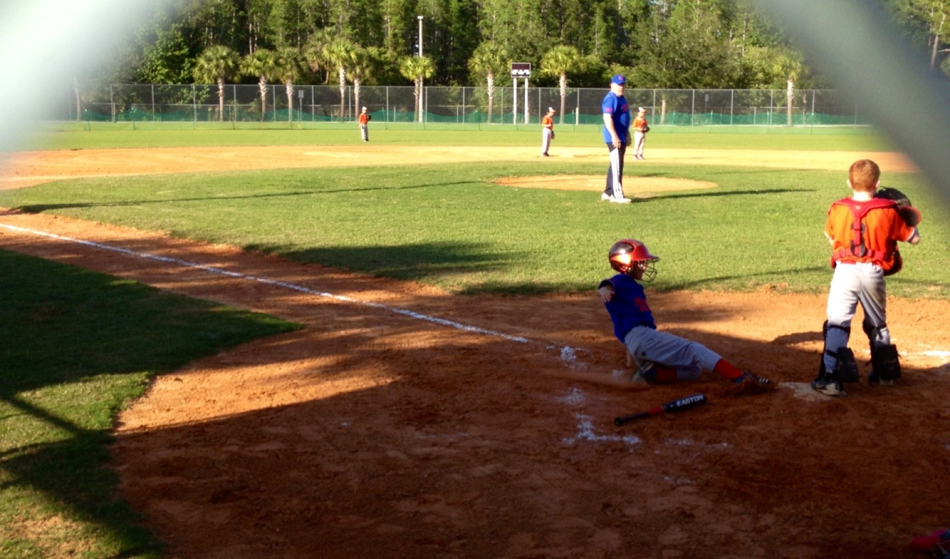 New Tampa Community Park, 17302 Commerce Park Blvd, Tampa, FL, Parks ...