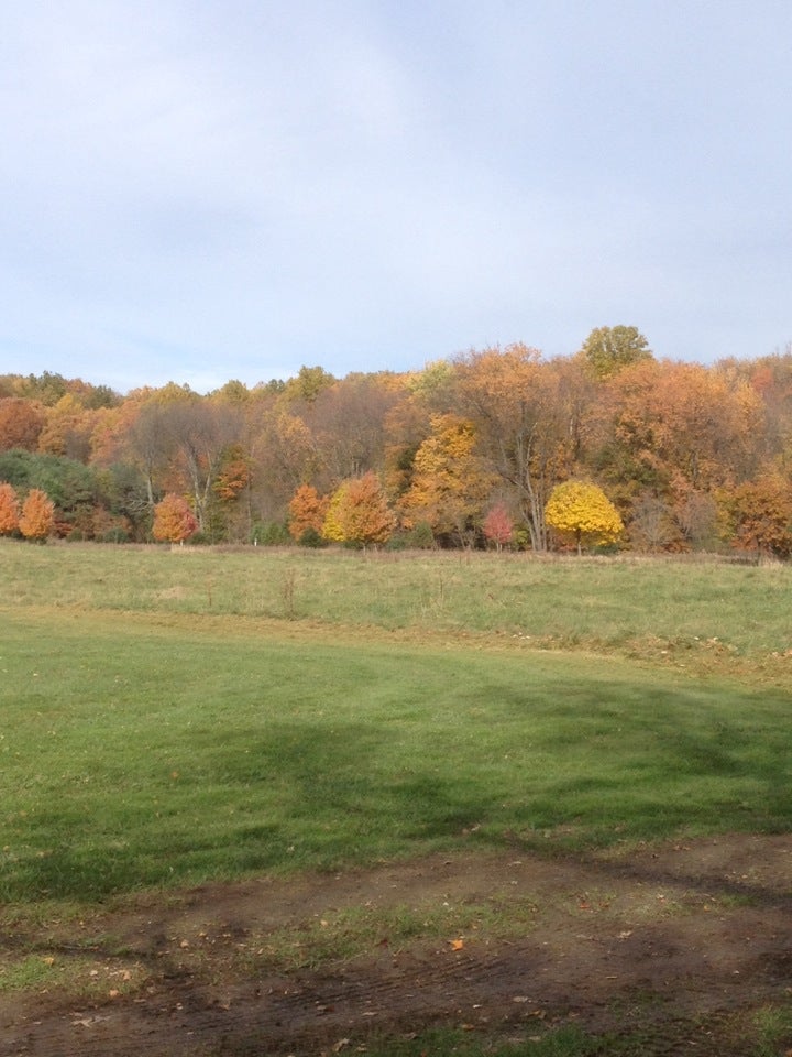 Goodyear Heights Metro Park, 2077 Newton St, Akron, OH, Parks - MapQuest