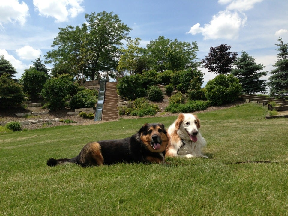 Bridgeview, IL Map & Directions - MapQuest