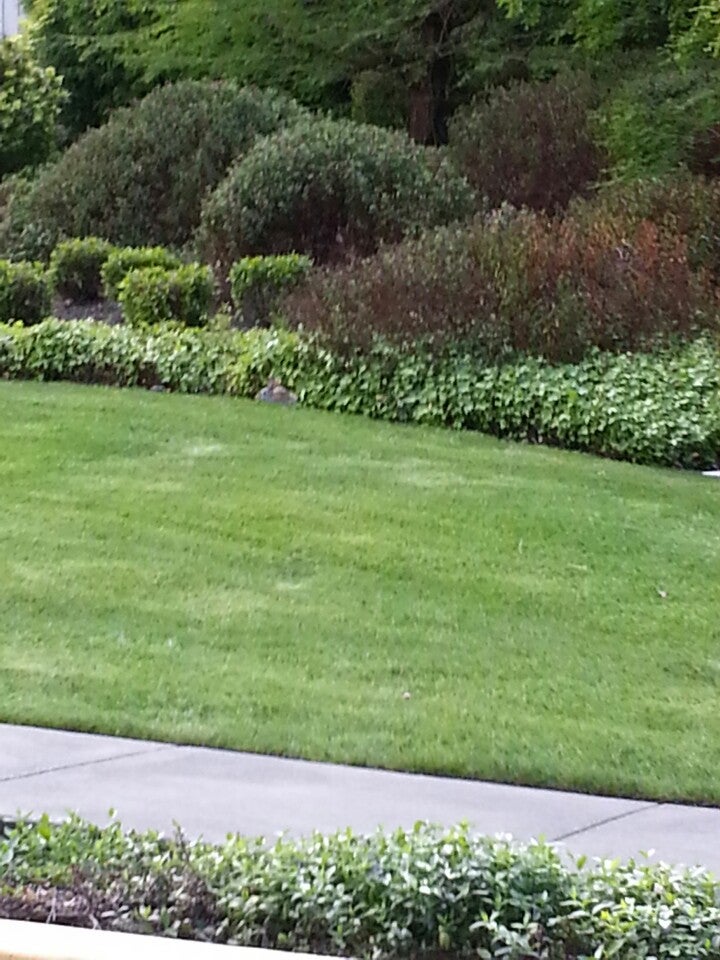 Microsoft Building 86, 4500 156TH Ave, Redmond, WA, Office & Desk Space ...