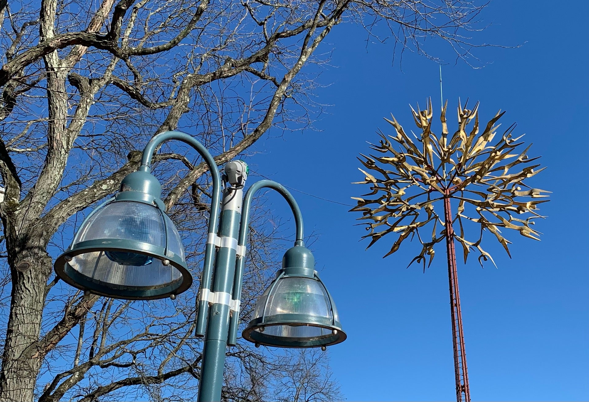 People Tree, Columbia, MD - MapQuest