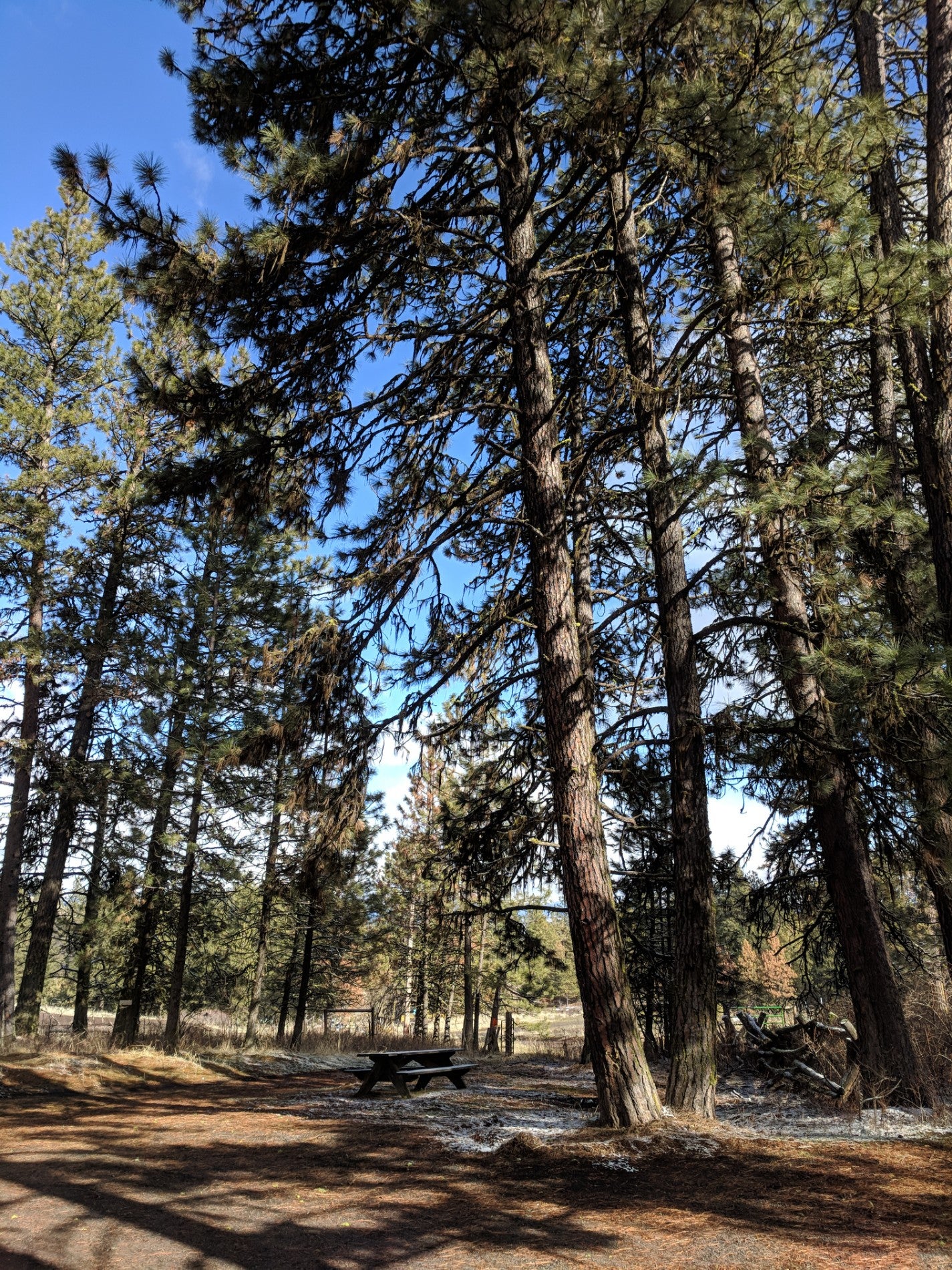 Anatone, WA Map & Directions - MapQuest