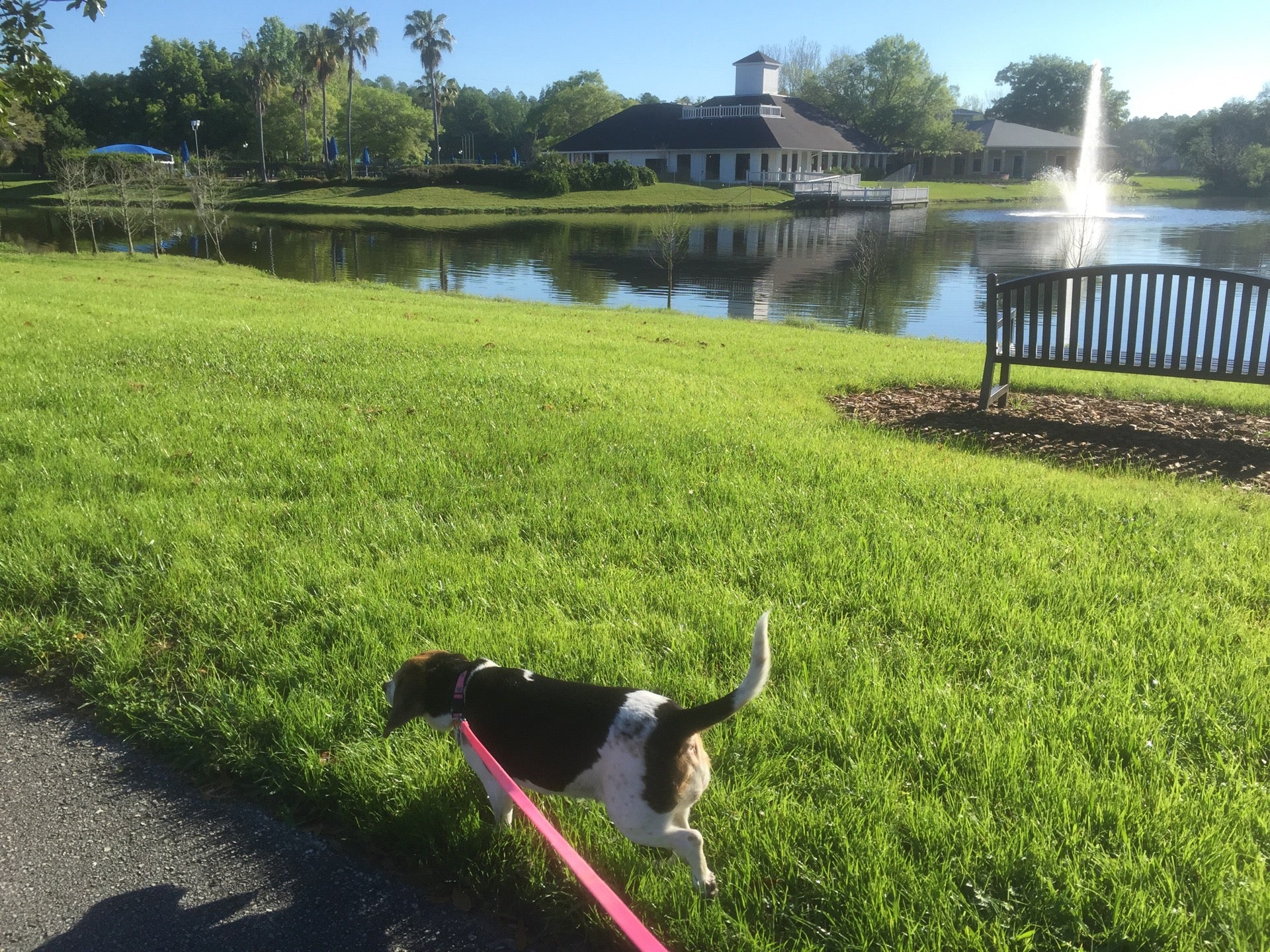 Compton Park, 16101 Compton Dr, Tampa, FL, Parks - MapQuest