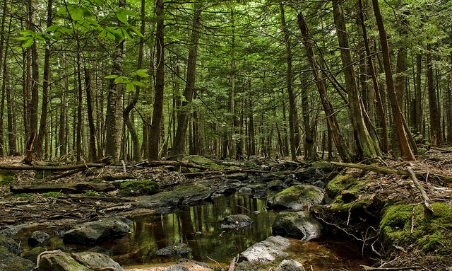 Ashuelot River Park, Heading away from downtown Keene on West Street ...