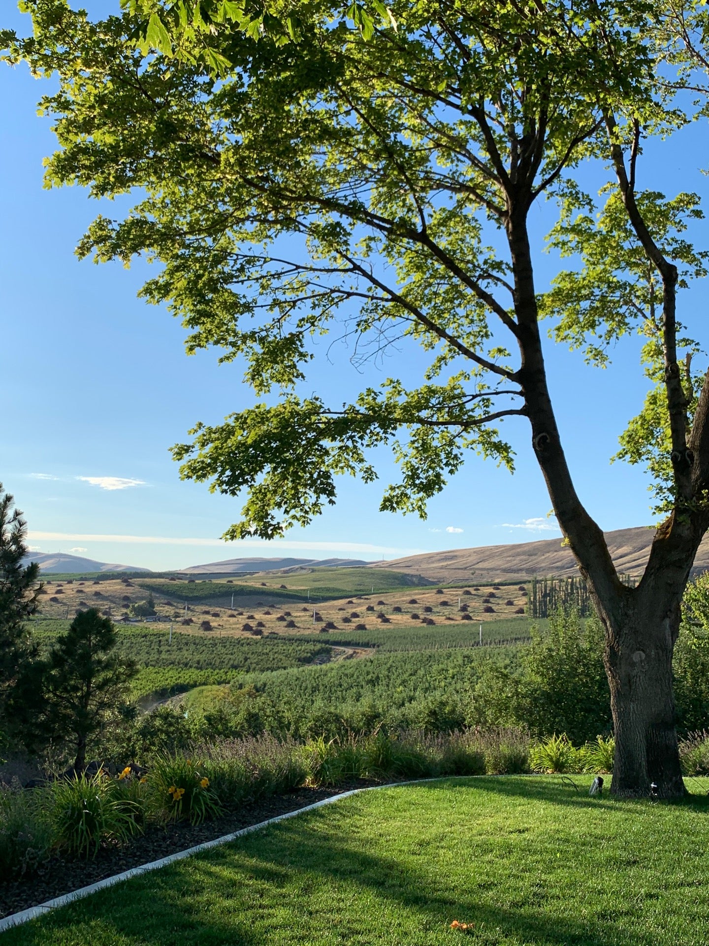 Wapato, WA Map & Directions - MapQuest