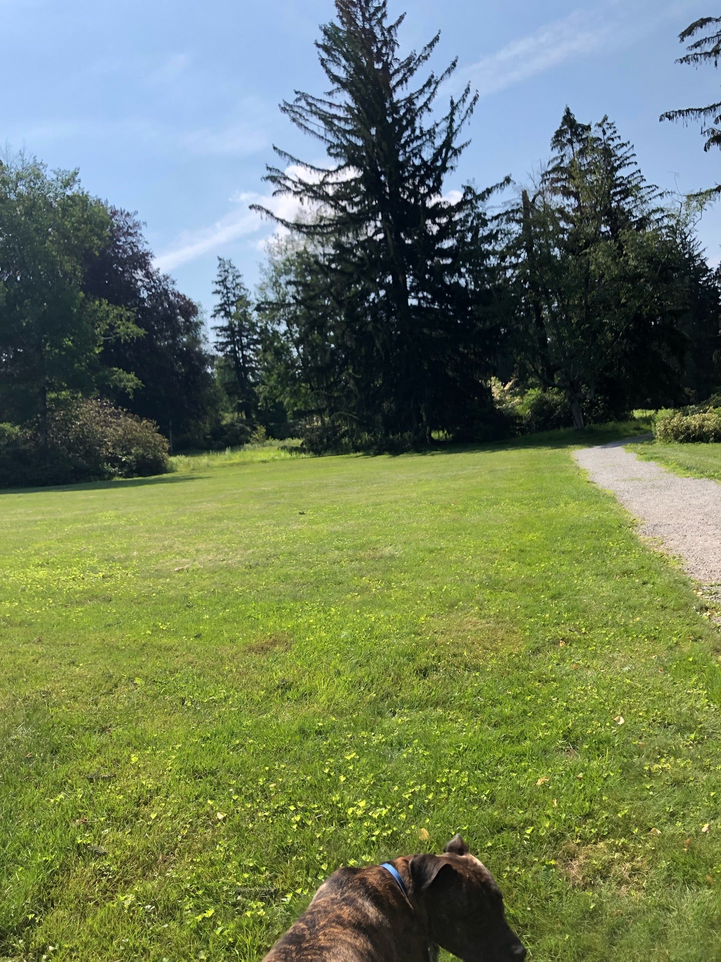 Doyle Community Park, 464 Abbott Ave, Leominster, MA, Parks - MapQuest
