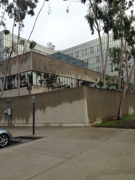 Deepthi K Karunasiri MD - Olive View UCLA Medical Center Pathology ...