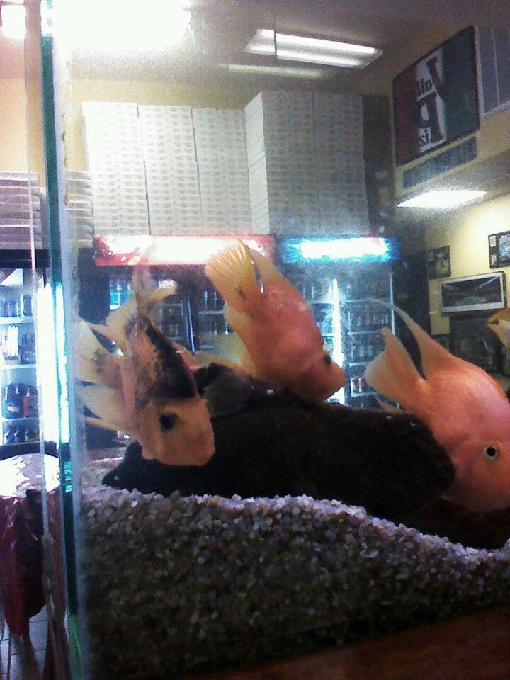 Sugarloaf, PA Map & Directions - MapQuest