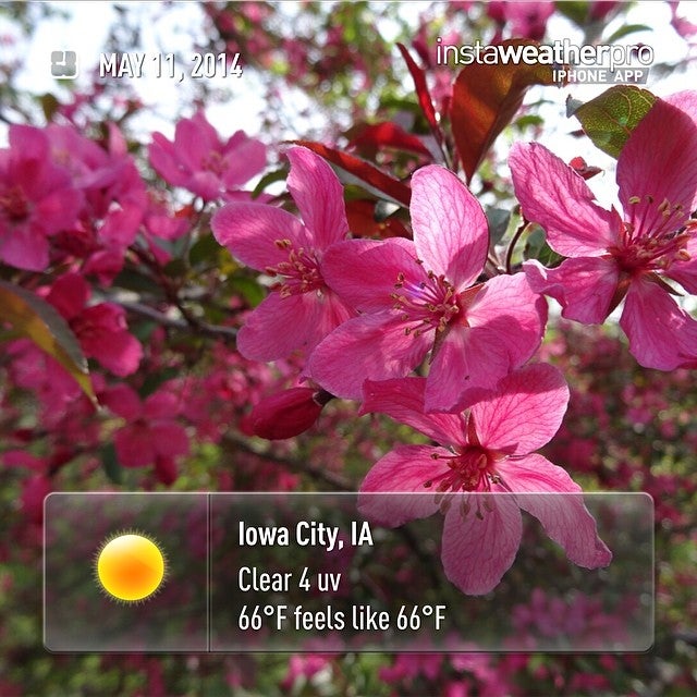 Hawkeye Tailgating Commuter Lot, Emerald St, Iowa City, IA - MapQuest