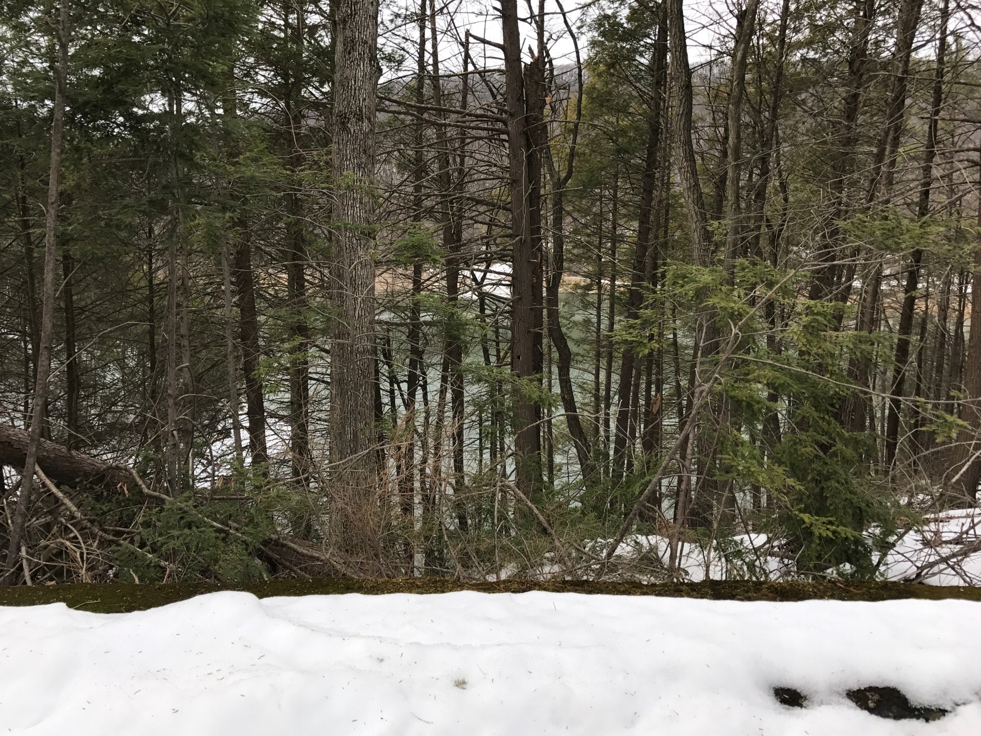 Weiser State Forest, Mount Carmel, PA, Landmark - MapQuest