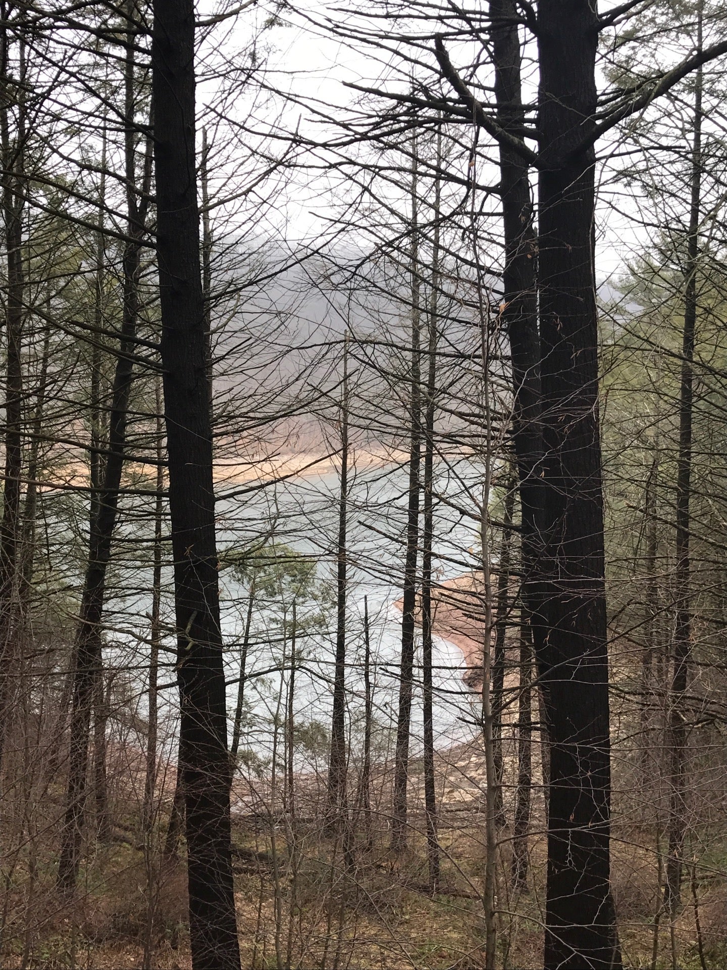 Weiser State Forest, Mount Carmel, PA, Landmark - MapQuest