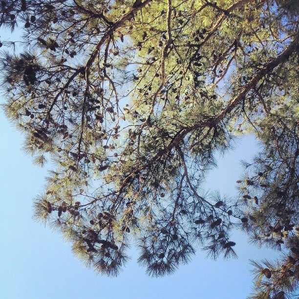 Erwin, NC Map & Directions - MapQuest