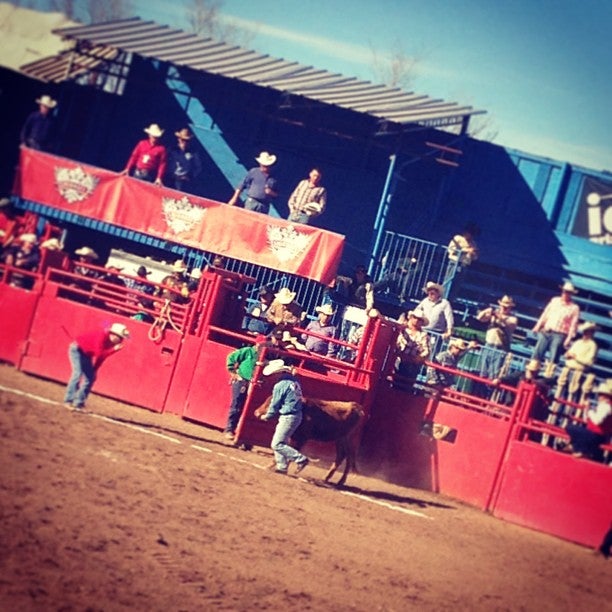 Rancho Corona, 7611 S 29th Ave, Laveen, AZ, Sports - MapQuest