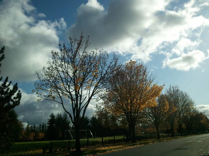 Microsoft Corporation, 1 Microsoft Way, Redmond, WA, Software ...