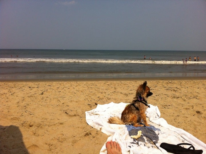 Sandbridge Beach, Sandfiddler Rd, Virginia Beach, VA, Beach - MapQuest