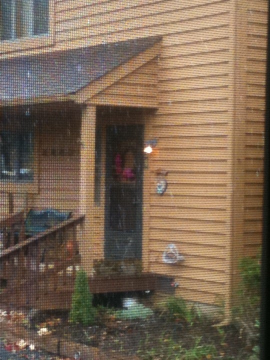 Davis, WV Map & Directions - MapQuest