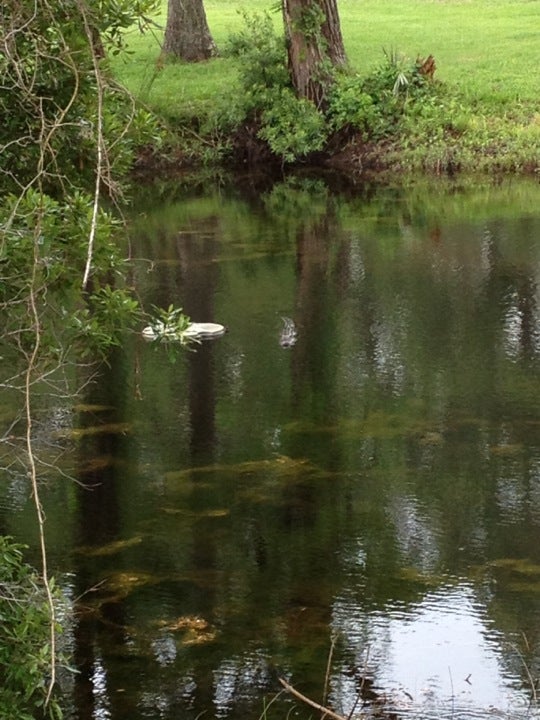 Military Ocean Terminal Sunny Point, 6280 Sunny Point Rd, Southport, NC ...