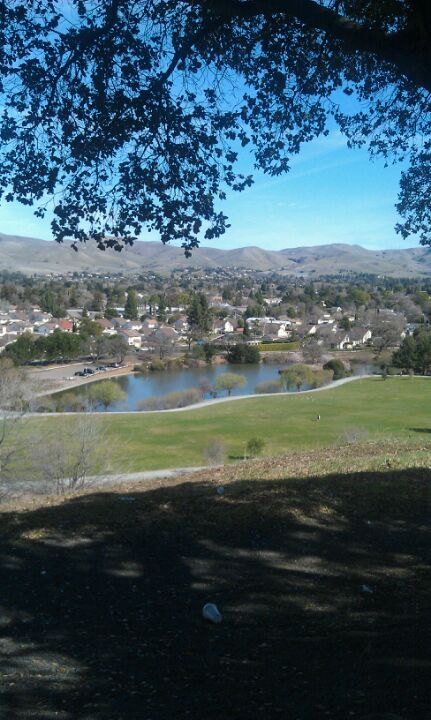 Newhall Community Park, 1351 Newhall Pkwy, Concord, CA, Parks - MapQuest