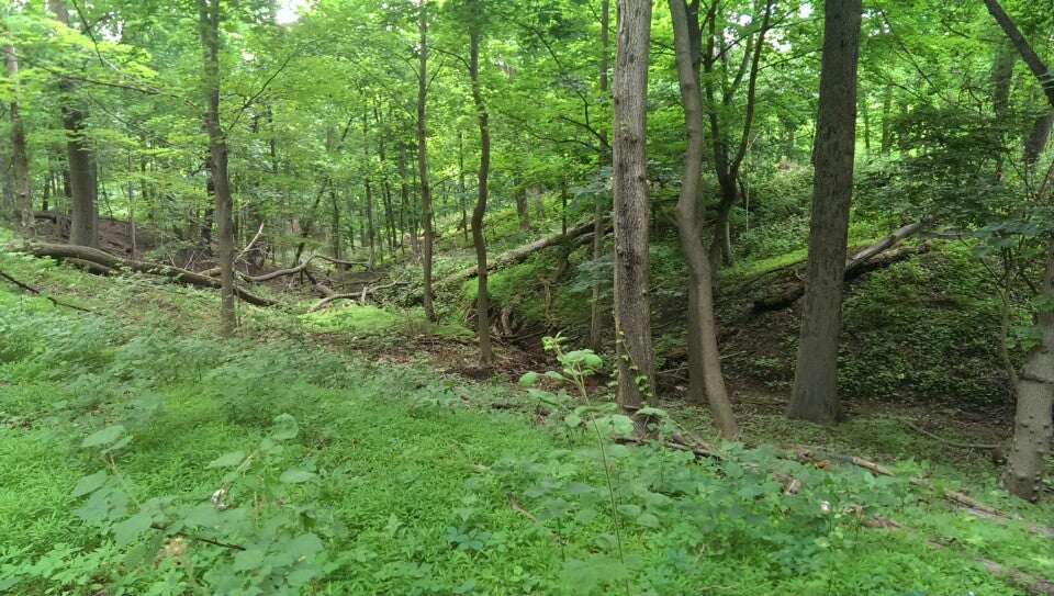 Piscataway, NJ Map & Directions - MapQuest