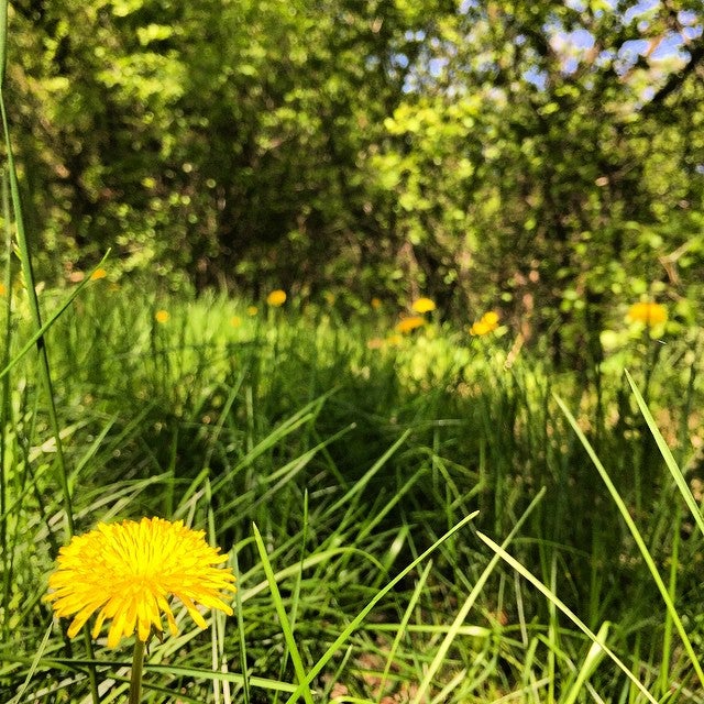 Watkins, MN Map & Directions - MapQuest