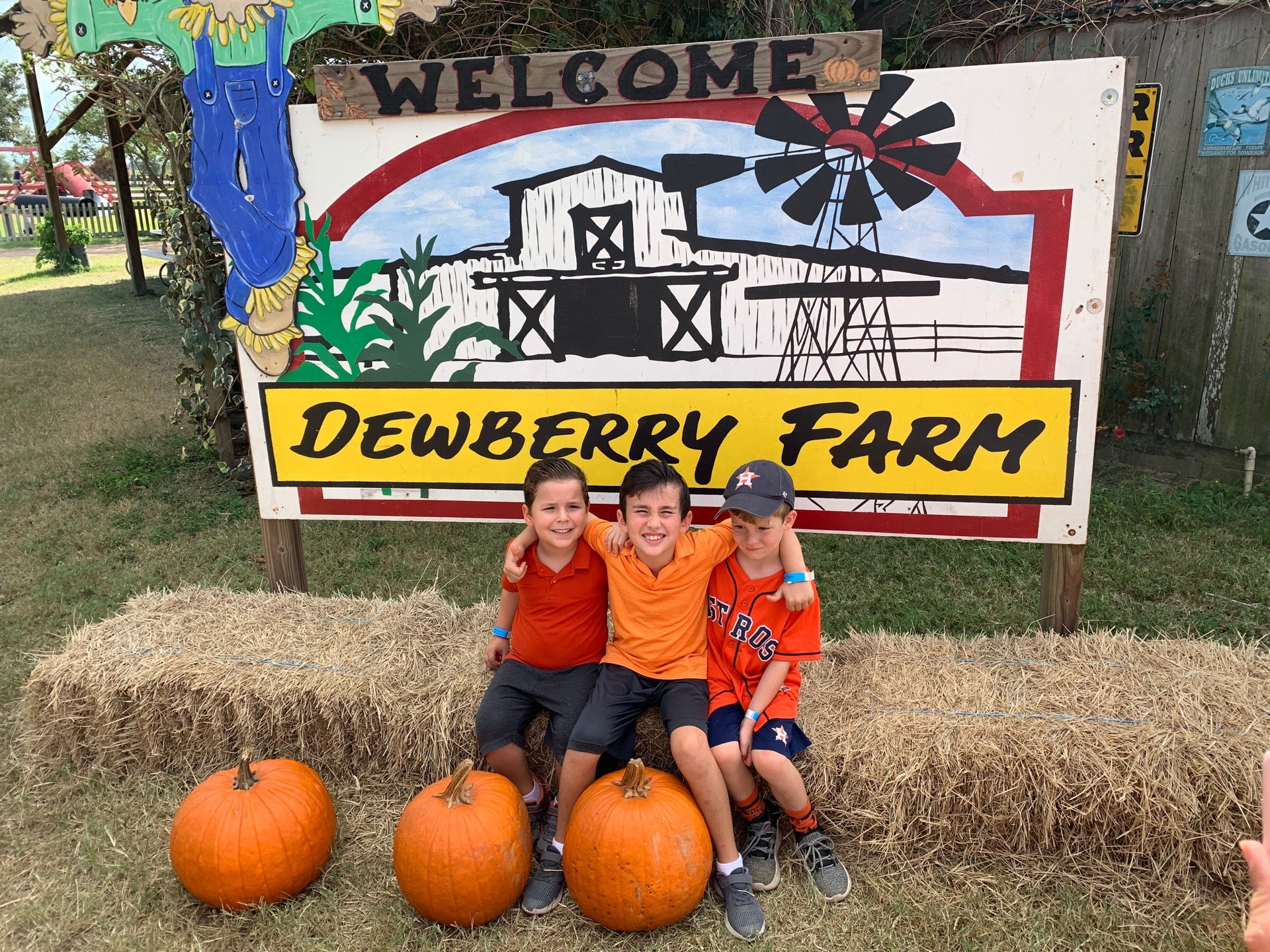 Dewberry Farm, FM-362, Brookshire, TX - MapQuest