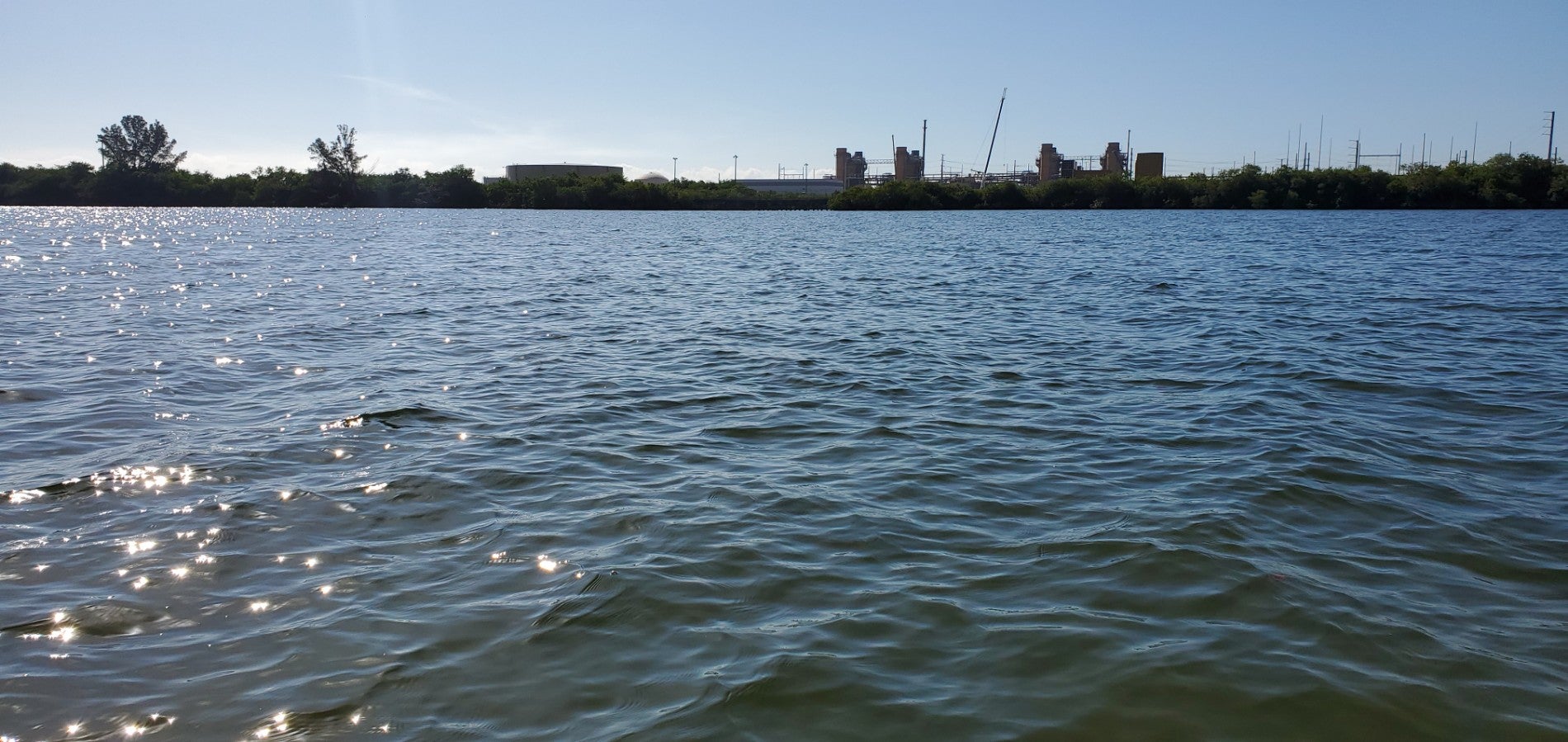 Gandy Beach Mangroves, Gandy Blvd N, Saint Petersburg, FL, Nudist Parks ...