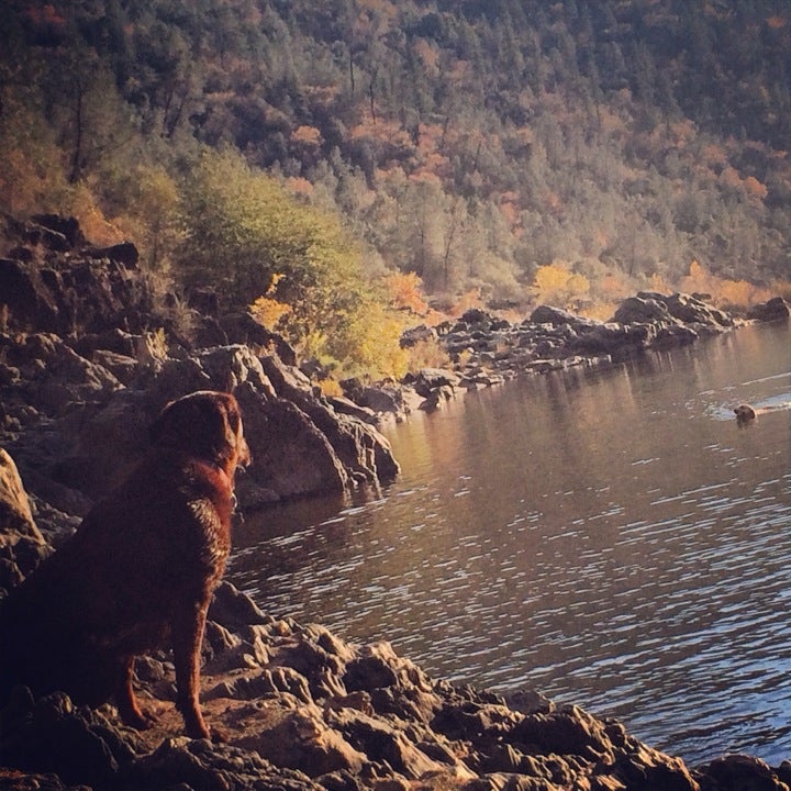 American River Confluence, Old Foresthill Rd, Auburn, CA - MapQuest