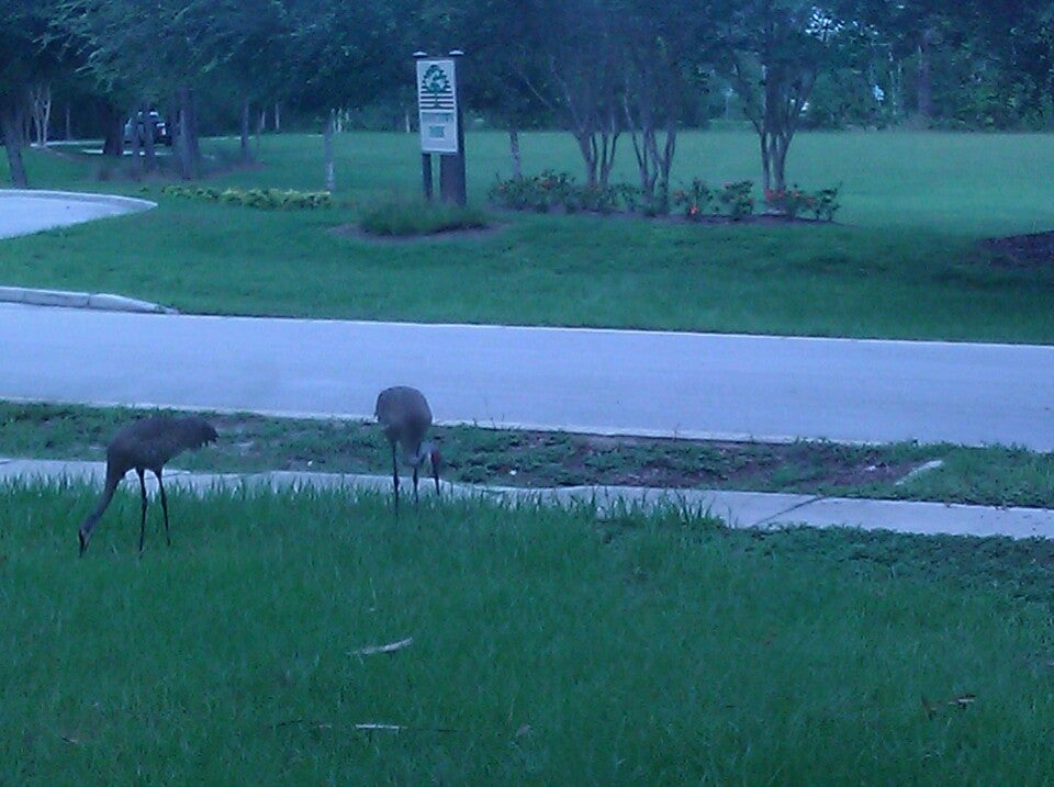 Altamonte Springs, FL Map & Directions - MapQuest