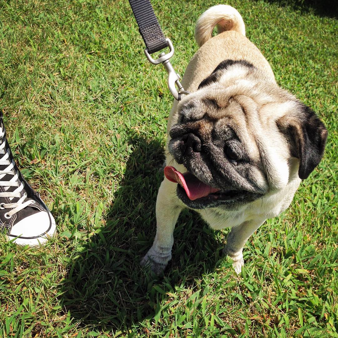 Allen, OK Map & Directions - MapQuest