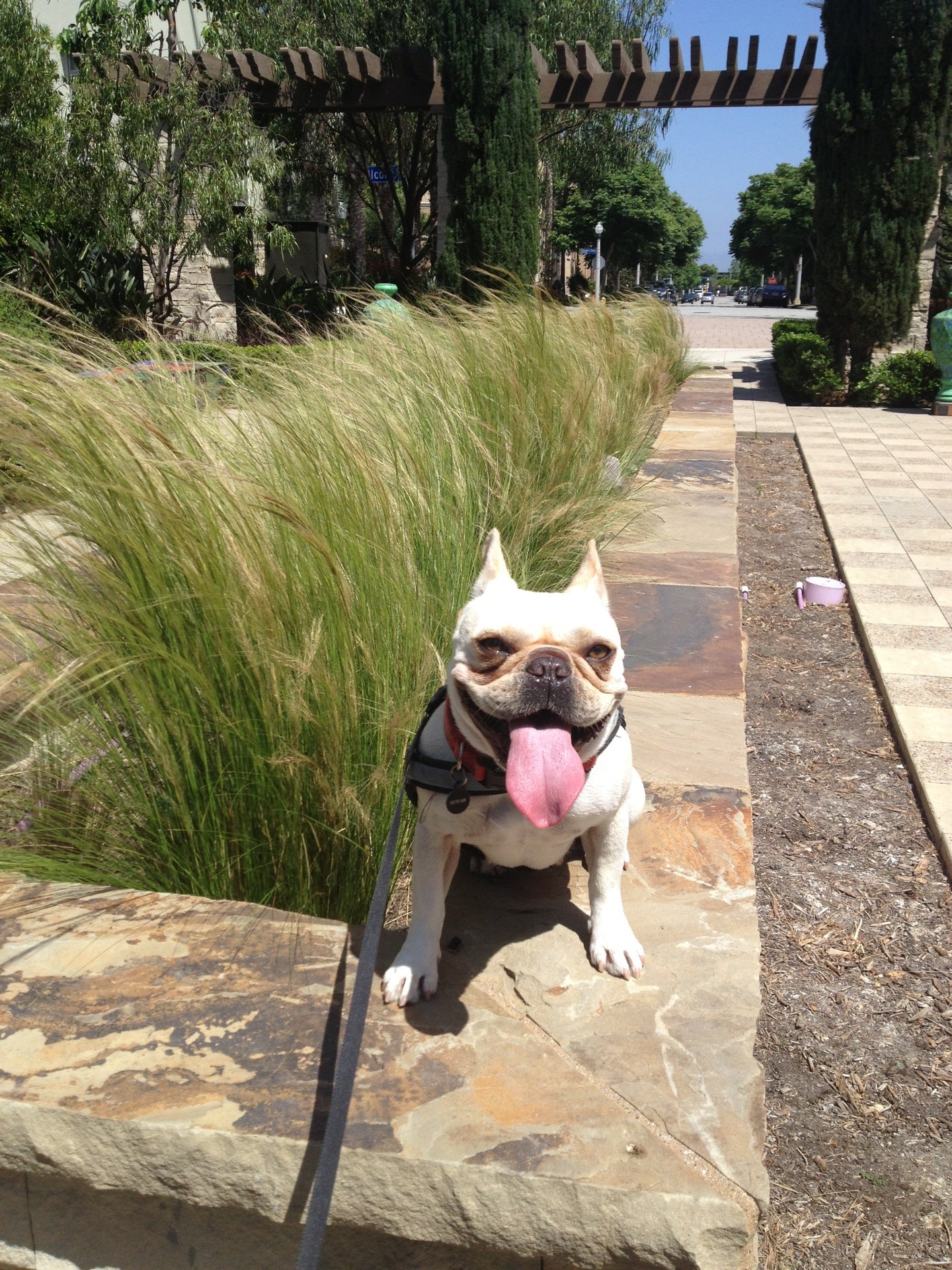 Playa Vista Icon Park, S Icon Cir, Los Angeles, CA - MapQuest