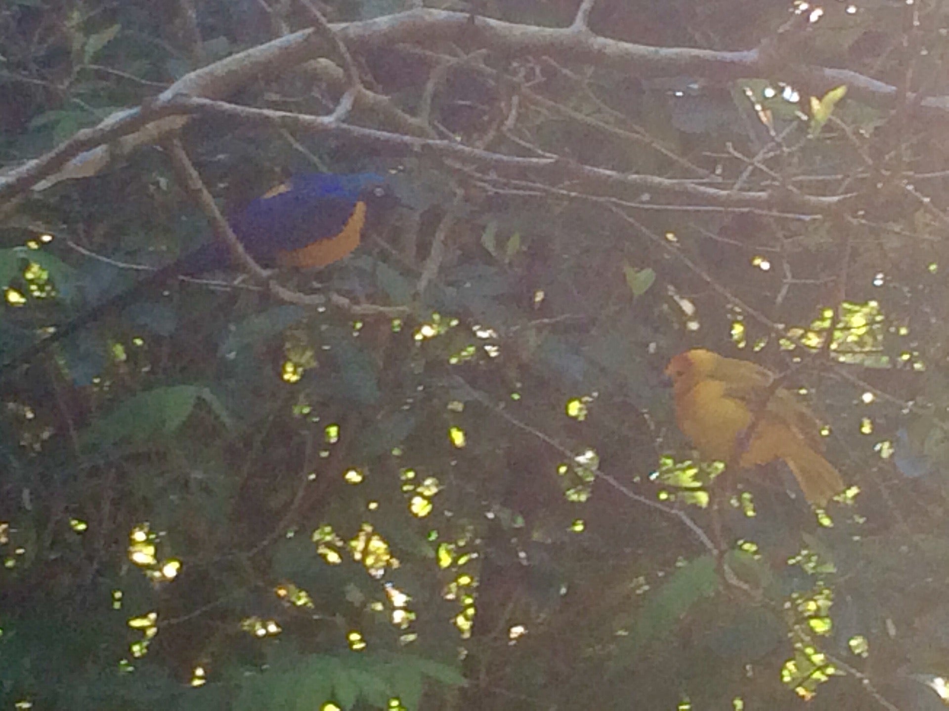 African Aviary, 601 N 59th St, Seattle, WA, Zoos - MapQuest