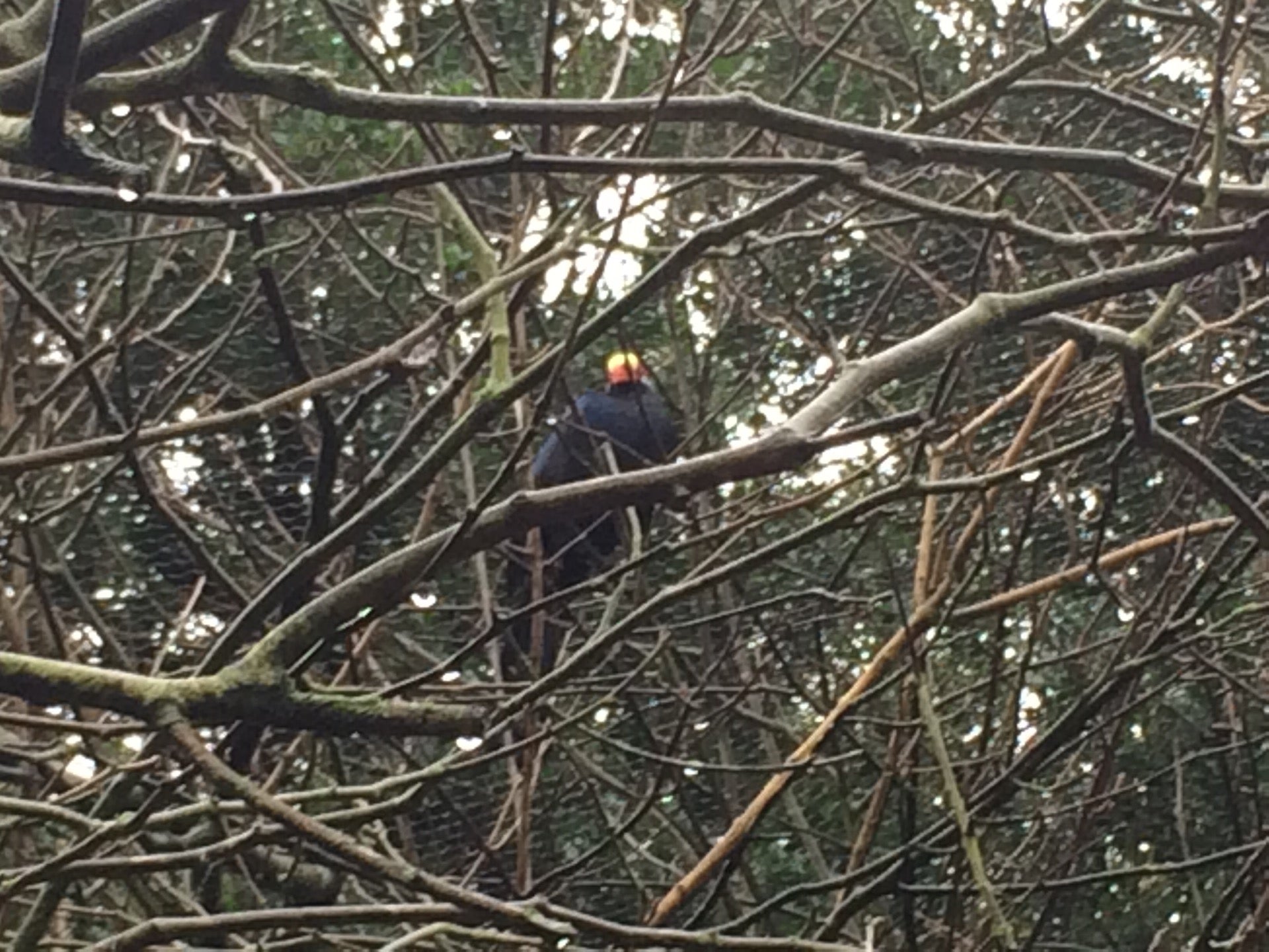 African Aviary, 601 N 59th St, Seattle, WA, Zoos - MapQuest