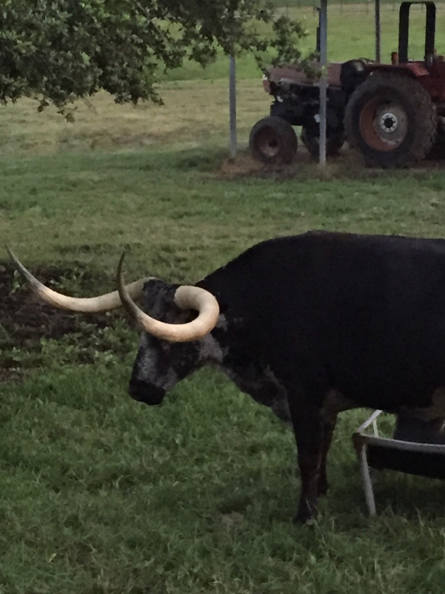 NASA Longhorn Project, Houston, TX - MapQuest