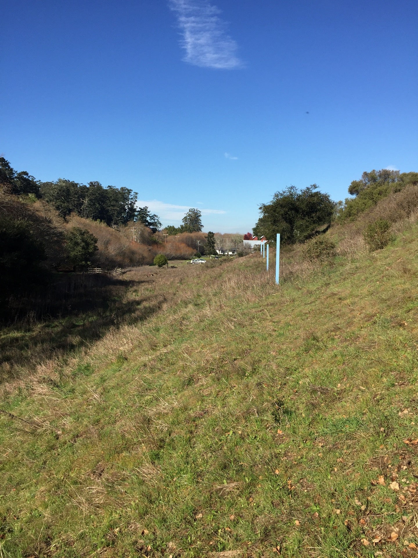 Earthquake Trail, Bear Valley Rd, Point Reyes Station, CA - MapQuest