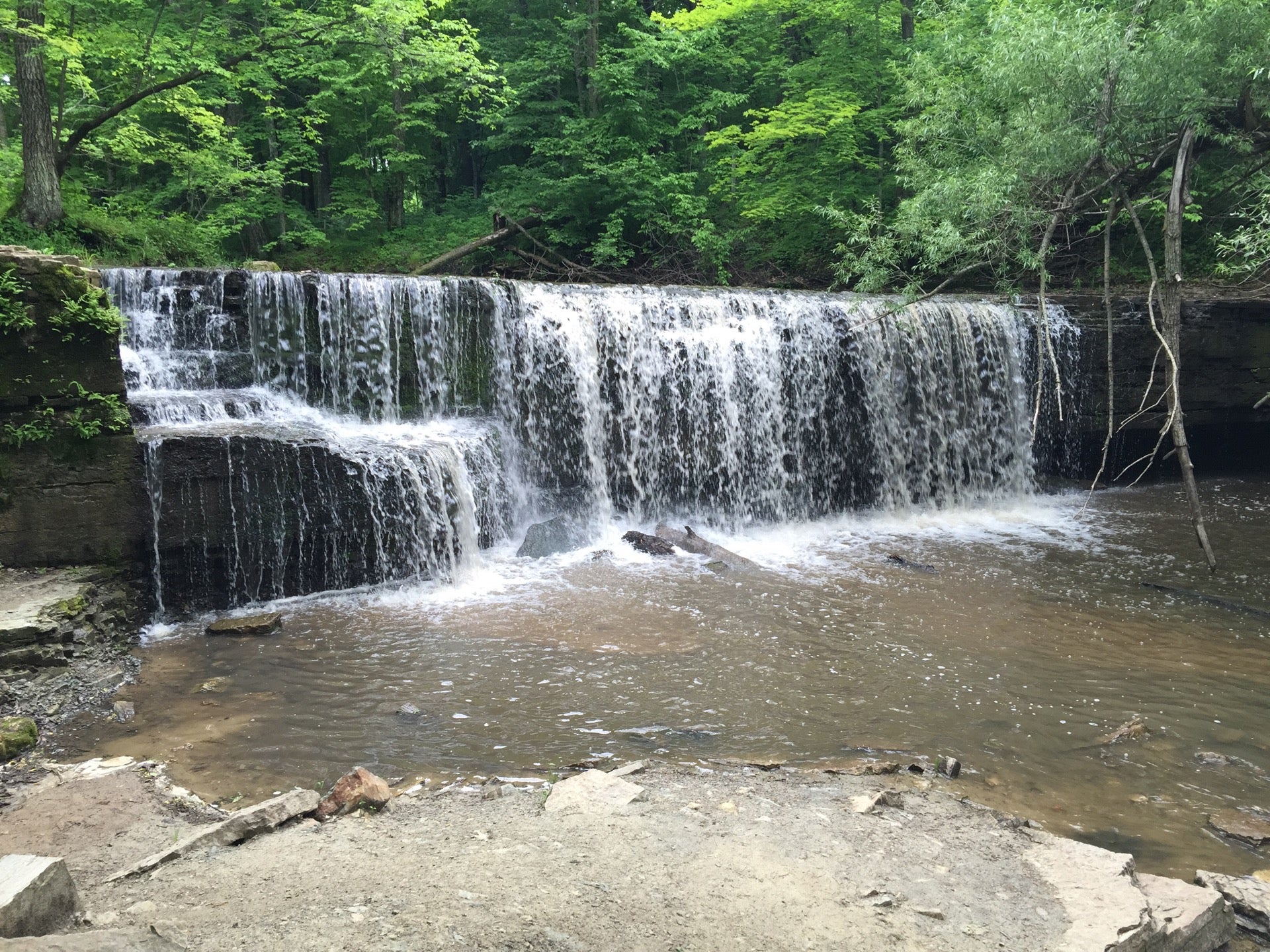 Nerstrand, MN Map & Directions - MapQuest