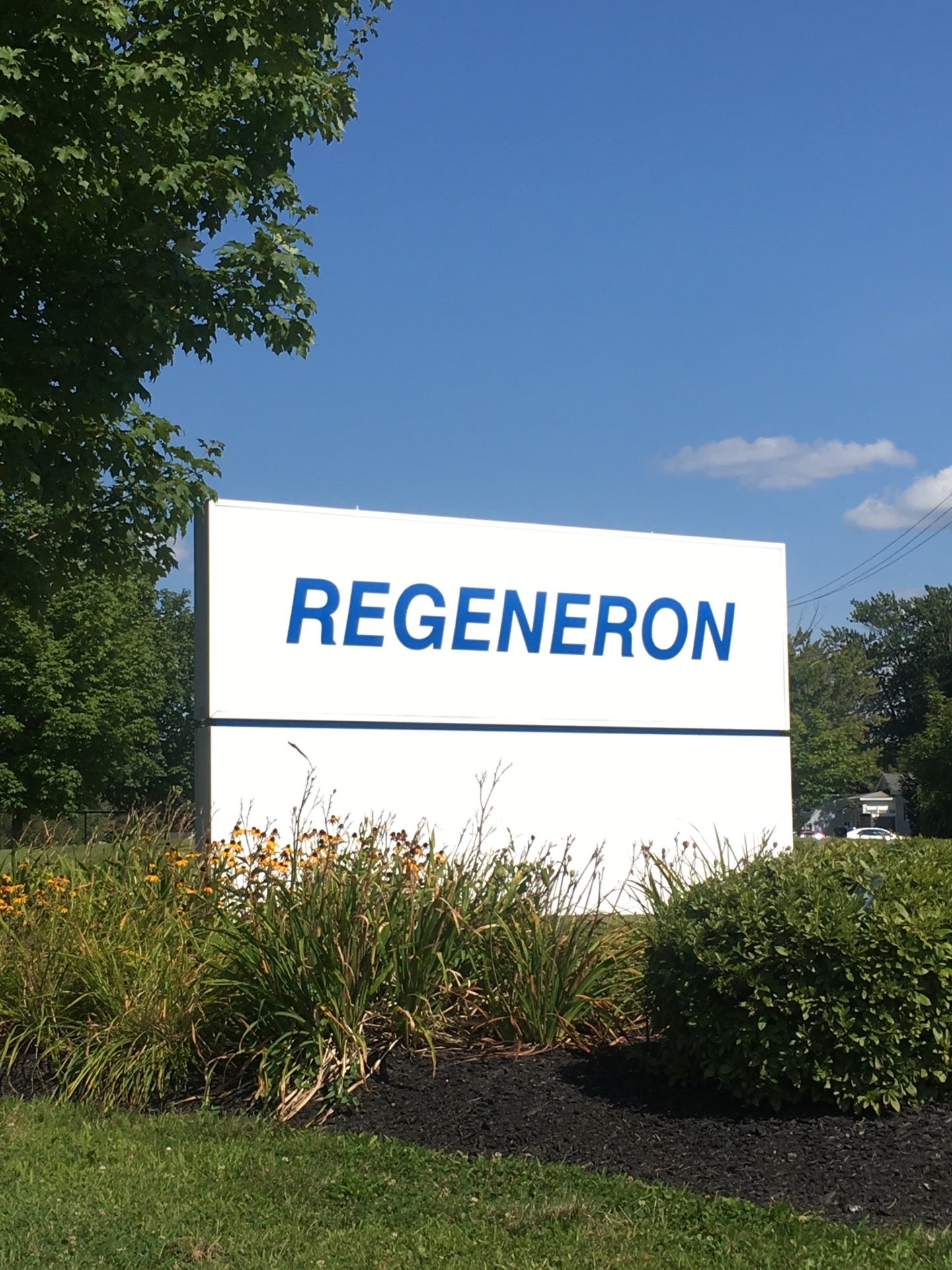 Regeneron Pharmaceuticals Inc Columbia Turnpike Rensselaer Ny Online ...