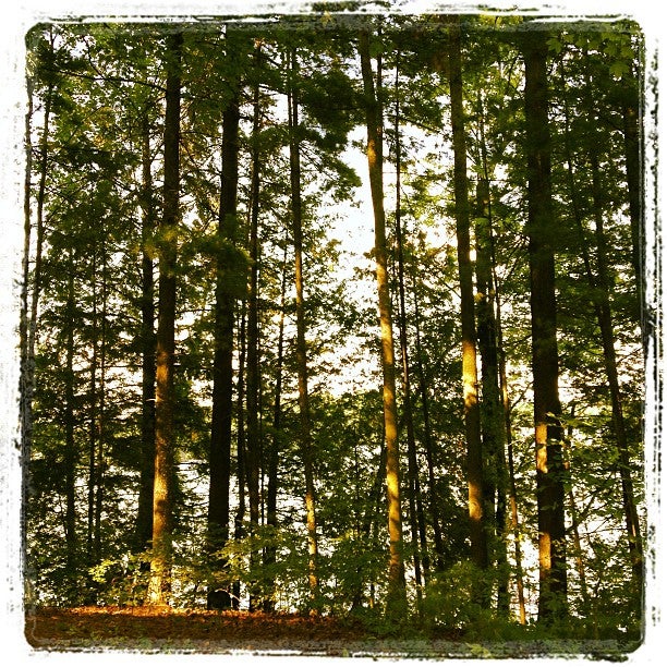 Suring, WI Map & Directions - MapQuest