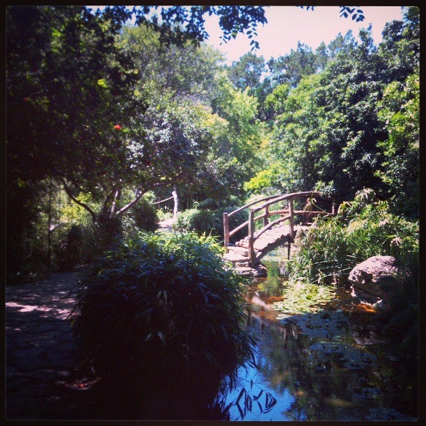 Isamu Taniguchi Oriental Garden, Austin, TX, Gardens - MapQuest