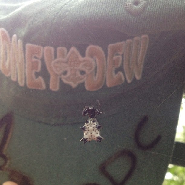 Trion, GA Map & Directions - MapQuest