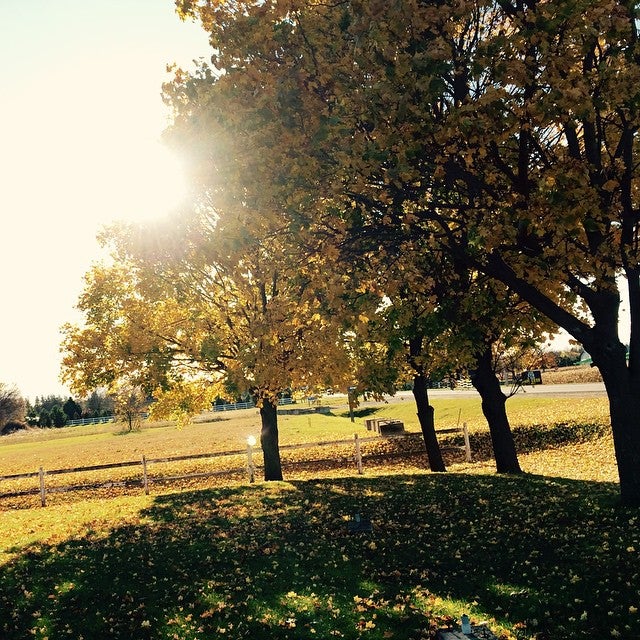 Canadian Tire, 24614 Adelaide Road, Strathroy, ON - MapQuest