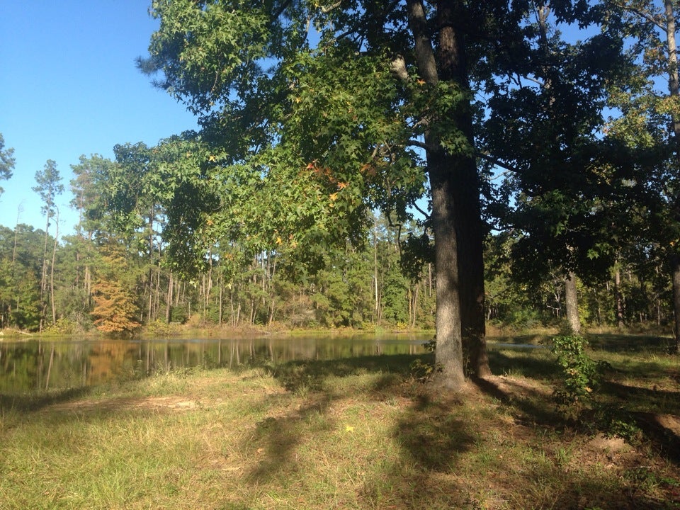 W G Jones State Forest, 1328 FM 1488 Rd, Conroe, TX, Parks - MapQuest