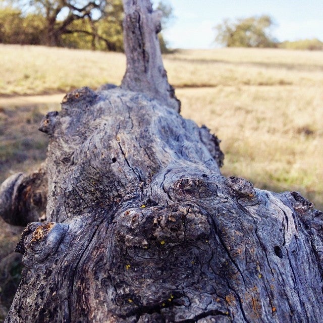 Santa Rosa Plateau Ecological Reserve, Rancho California Rd, Temecula ...